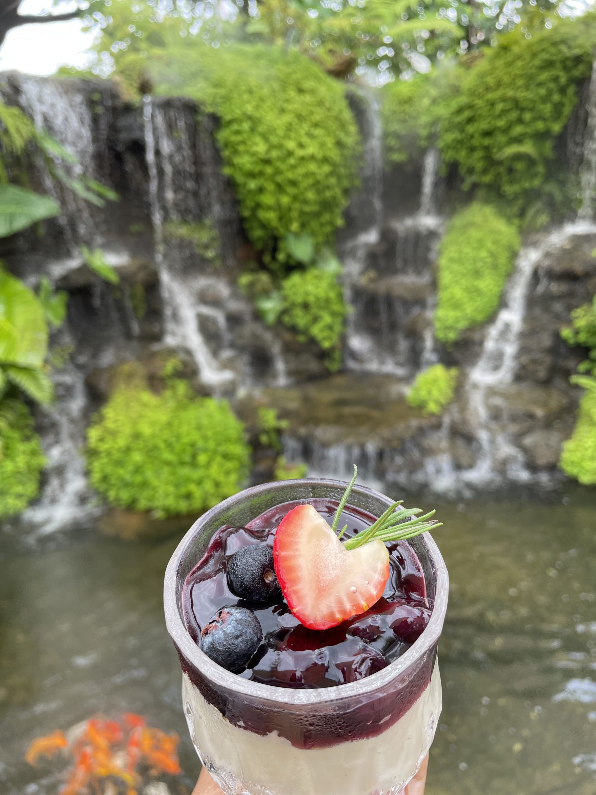 Raga Cafe & Homemade Bakery|Phuket Lovin