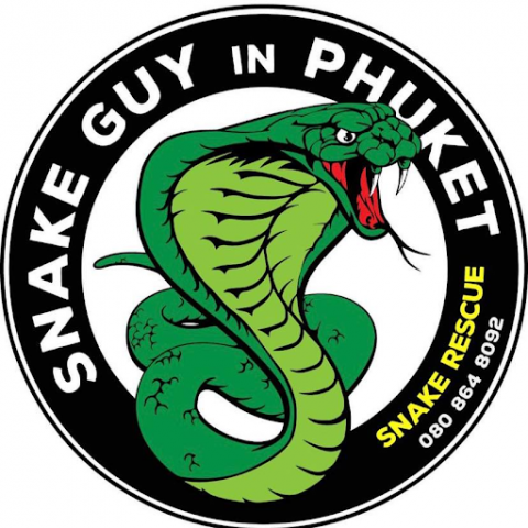 Snake Education Events in Phuket: An Interview|Phuket Lovin